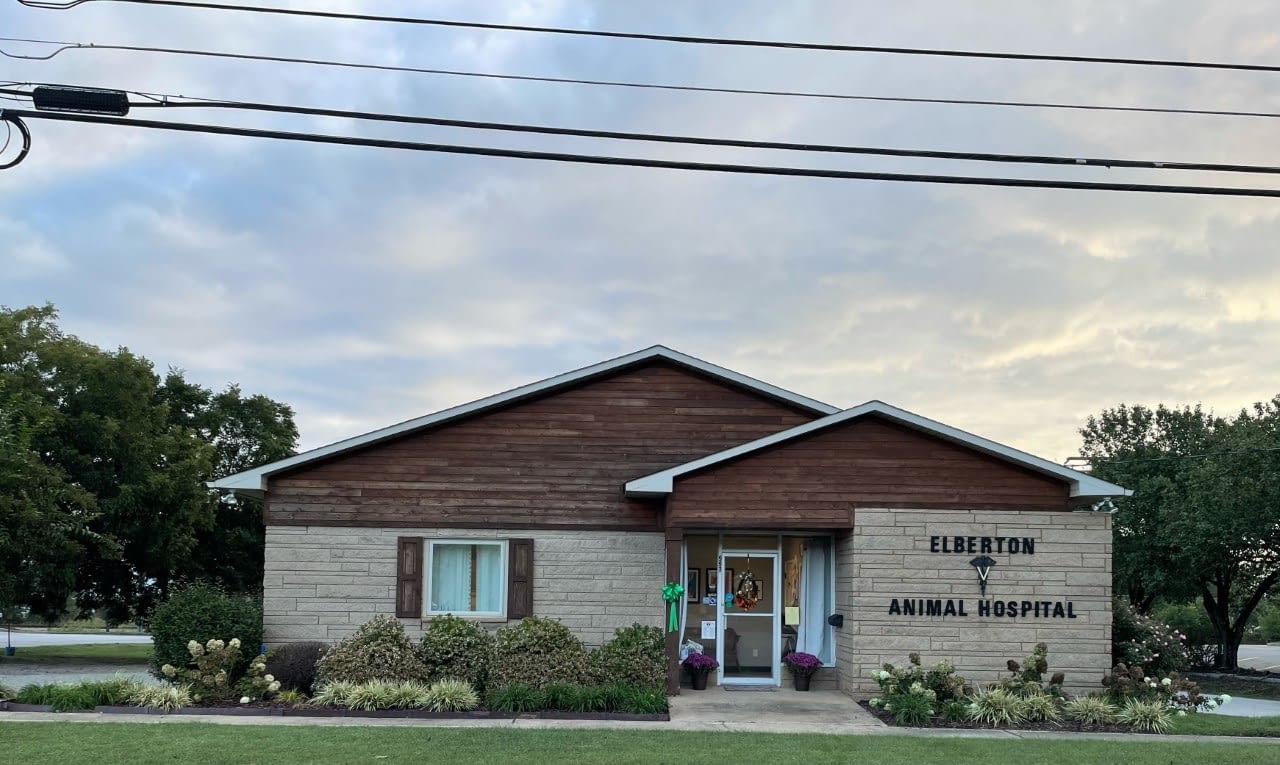 Clinic Tour - Elberton Animal Hospital