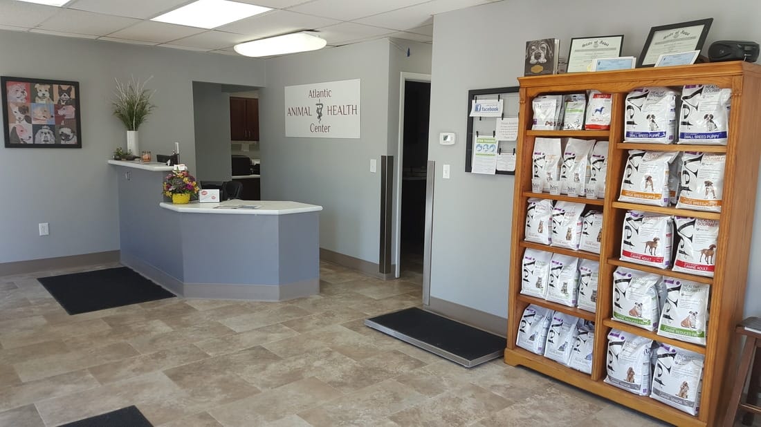 Tour Our Facility - Atlantic Animal Health Center